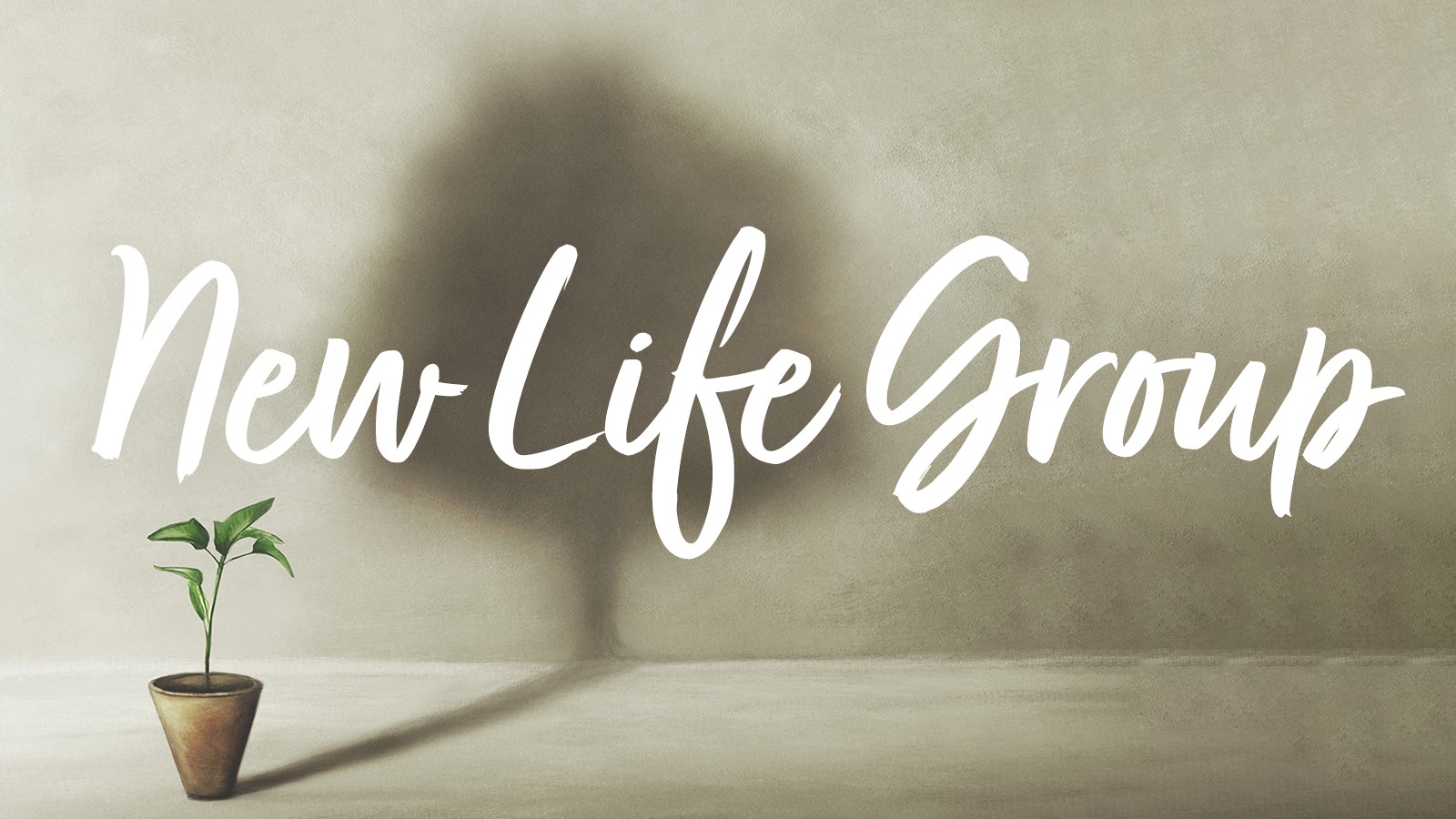 New Life Group - Brushy Creek