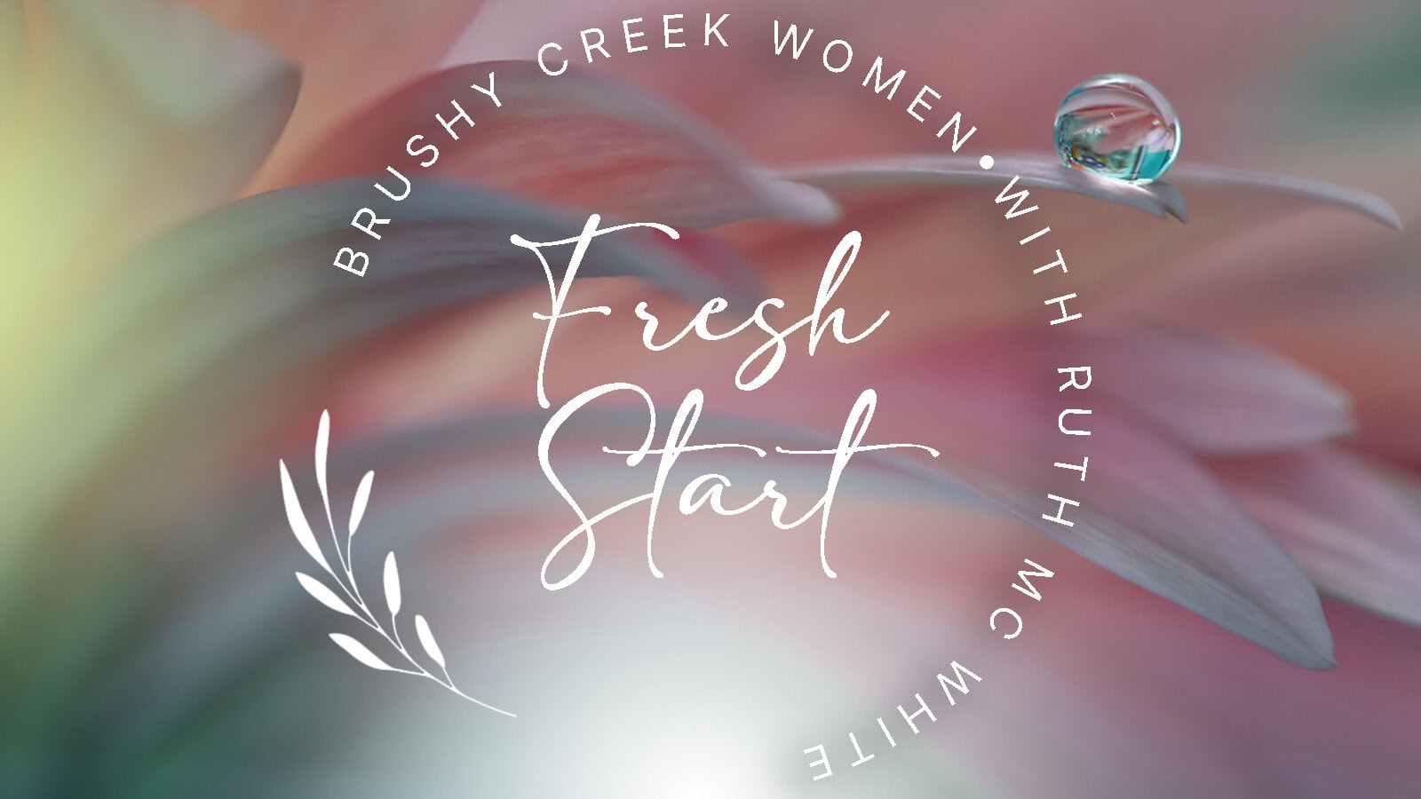 Fresh Start - Brushy Creek